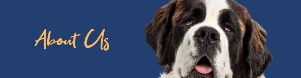 About Us - Fluff 'n Buff