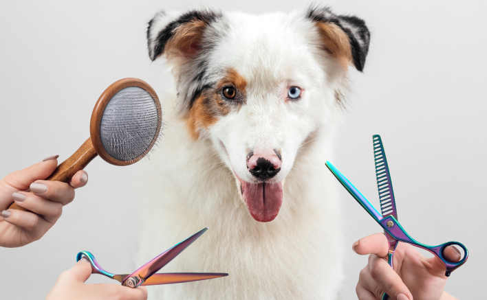 Our Services - Fluff 'n Buff