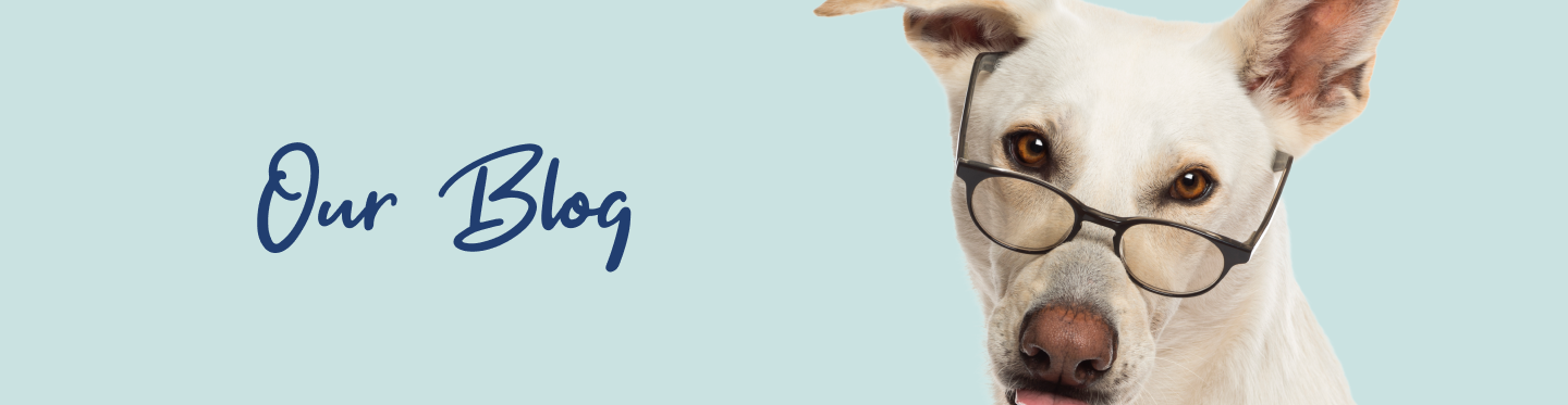 Blog - Fluff 'n Buff