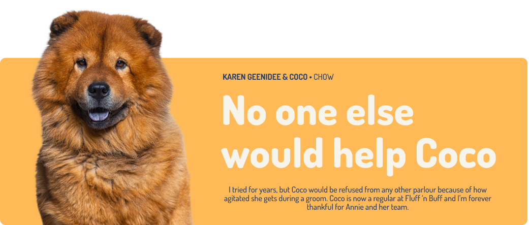 About Us - Fluff 'n Buff