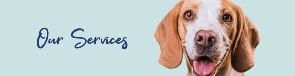 Our Services - Fluff 'n Buff